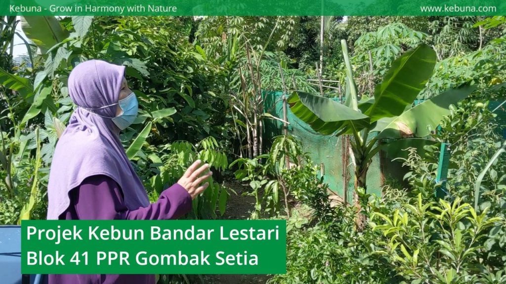 Projek Kebun Bandar Lestari Blok 41 PPR Gombak Setia - Kebuna Putrajaya